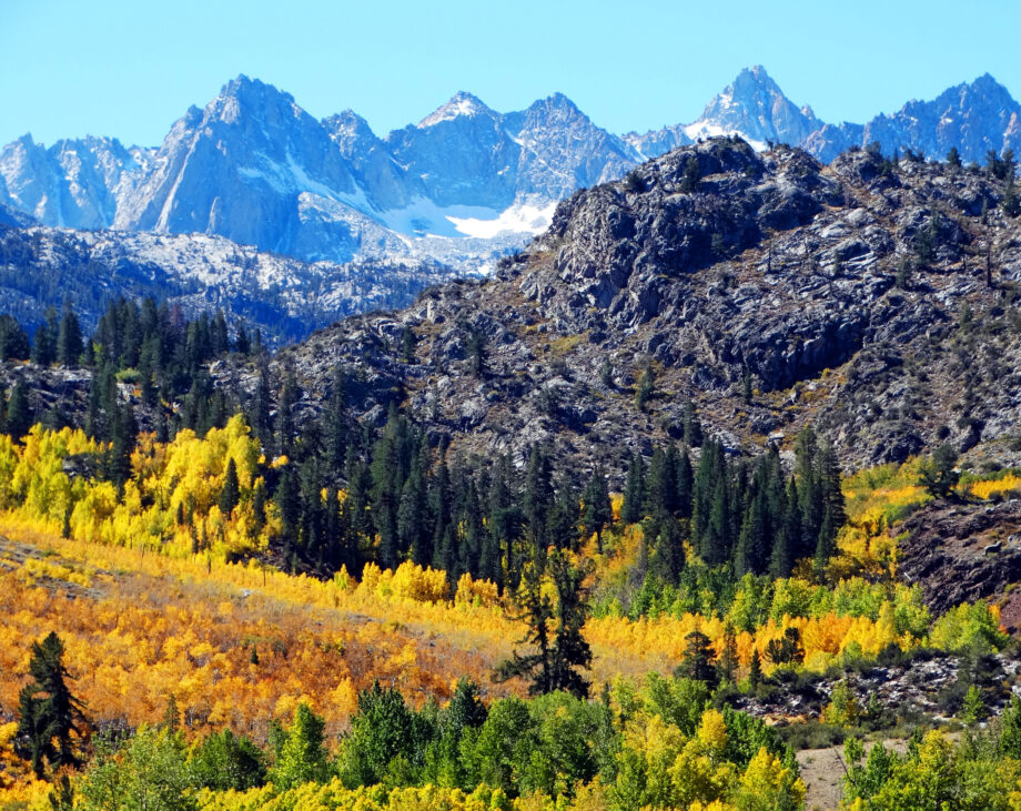 The AWE Guide to Bishop Fall Color - AWE Eastern Sierra