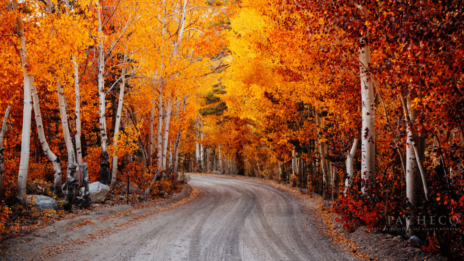 The AWE Guide to Bishop Fall Color - AWE Eastern Sierra